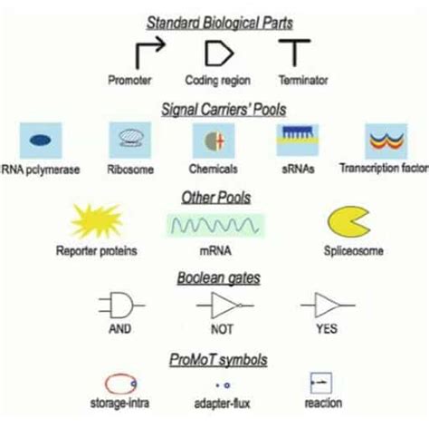Chip Design And How Machine Learning Is Helping It