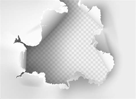 투명 배경에 찢어진 종이로 찢어진 비정형 구멍 프리미엄 벡터
