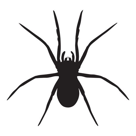 Spider Vector Isolated Vector Illustration 11168625 Vector Art At Vecteezy