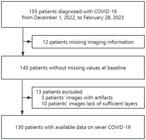Flowchart Describing Patient Selection Download Scientific Diagram