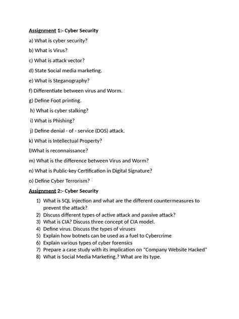 Assignment Cyber Security Pdf