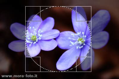 Gimp Tutorial All The Different Gimp S Selection Tools