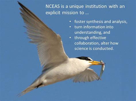 Slide4 NCEAS TrEAS Trends In Ecological Analysis And Synthesis