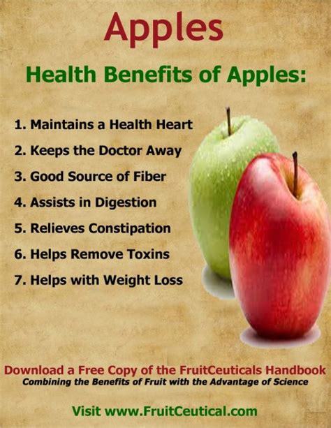 What Are The Benefits Of Apple Tree At Eden Celestina Blog