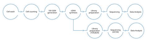 Single Cell Rna Sequencing