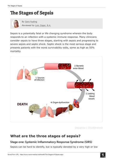 The Stages Of Sepsis Blah E Stages Of Sepsis Sepsis Is A