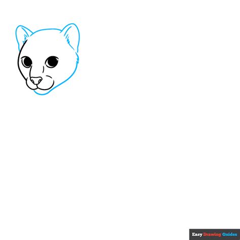 How To Draw An Ocelot Really Easy Drawing Tutorial