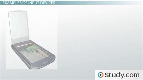 Input Devices Purpose Types Examples Lesson Study Com