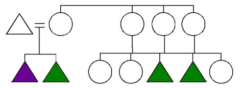 Matiē Langs And Conlangs