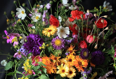 Букет луговых цветов цветы для вас фото и картинки Abrakadabra Fun