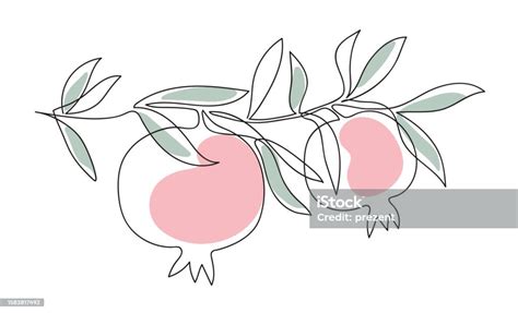 석류와 잎이있는 가지 샤나 토바 현대 단일 라인 아트 드로잉입니다 연속 선 그리기 윤곽선 그리기 디자인 벡터 그림 가을에 대한