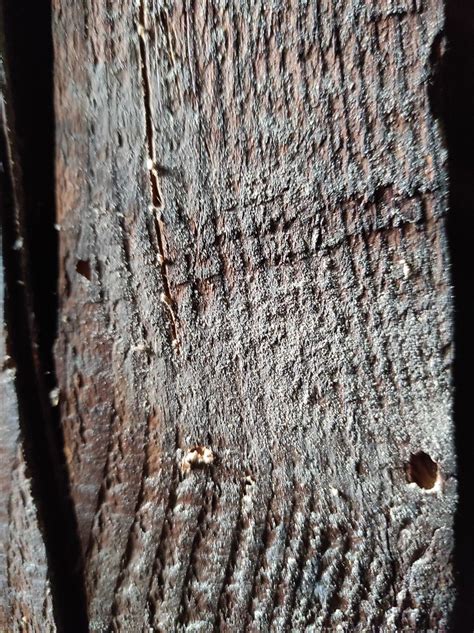 Img20211230100054 Py Py Flickr