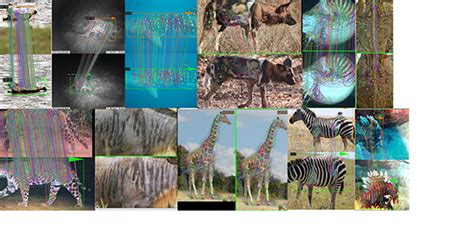 Computational Behavioral Ecology Siam