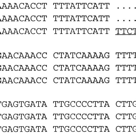 Dna Sequence Alignment At Locus Pcp36567 The Ssr Region Is Shown In
