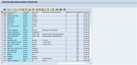 Sm49 Sap Tcode Execute External Os Commands