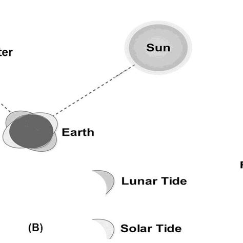 Schematic Diagram Of Arduino Uno Board Connected With Hc Sr04 And Lm35 Download Scientific