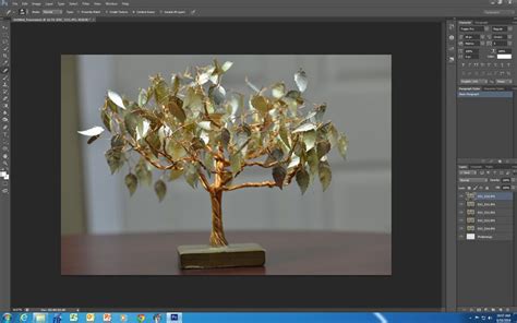 How To Focus Stack Images