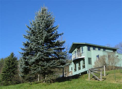 Road Trip Class Iv And Logging Roads Vt Teardrop Travelers