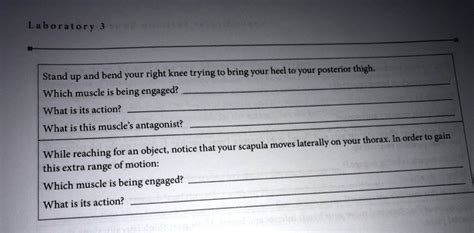 stand up and bend your right knee trying to bring your heel to your