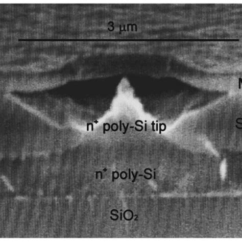 Cross Sectional View Of A Fabricated Poly Si Field Emitter With Gated Download Scientific