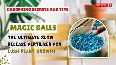 Magic Balls The Ultimate Slow Release Fertilizer For Lush Plant Growth