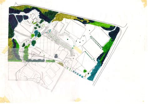 Trees Function Land8