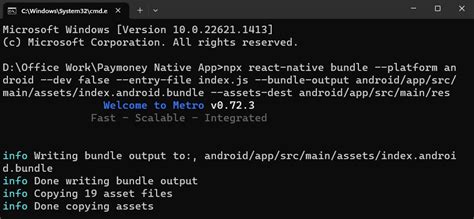 React Native Project Setup And Build Paymoney