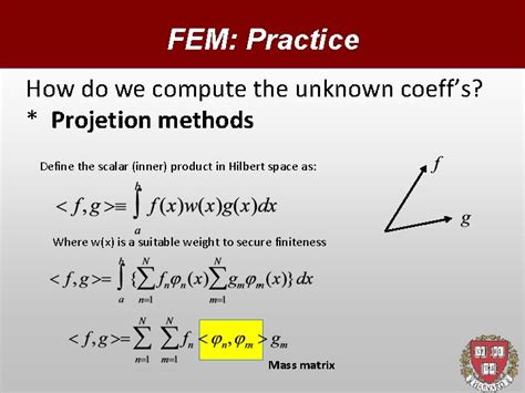 Finite Element Method Nonspherical Cows Sauro Succi Finite