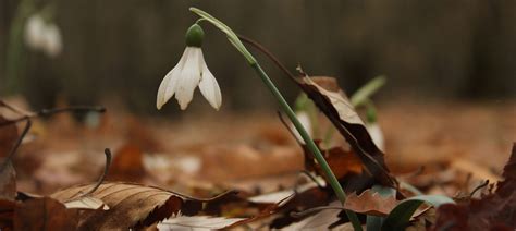 Base Art Onephoto سایت تخصصی عکس حسین قدیانی