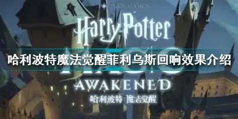 哈利波特魔法觉醒菲利乌斯回响怎么样 菲利乌斯回响效果介绍 游戏369