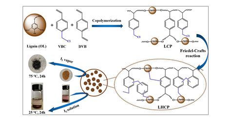 Construction Of Microporous Lignin Based Hypercross Linked Polymers