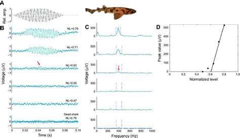 Threshold Determination Of Shaker Generated Aep Waveforms With Download Scientific Diagram