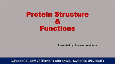 Protein Structure And Function Pptx