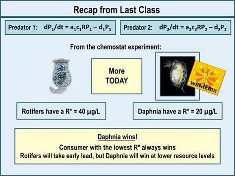 Ppt Fw364 Ecological Problem Solving Powerpoint Presentation Free Download Id 1862107