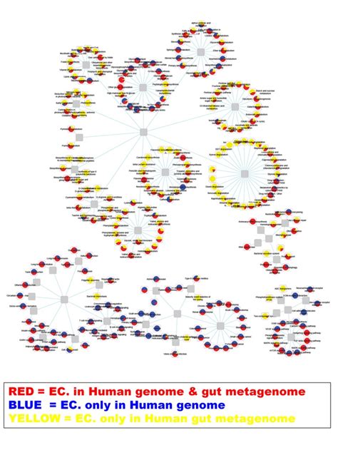 16 Best Images About Genomic Visualization On Pinterest Dna College Of And Tree Of Life