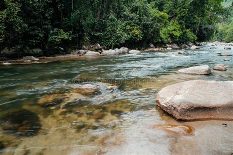 River At Sungai Kampar Gopeng Perak Stock Image Image Of Park
