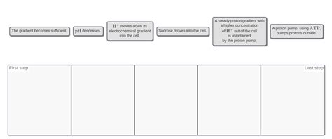 Solved Scientific Inquiry An Experiment Is Designed To