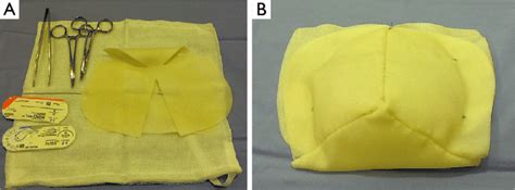 A Acellular Dermal Matrix Adm Available As A Prepared Template To Download Scientific