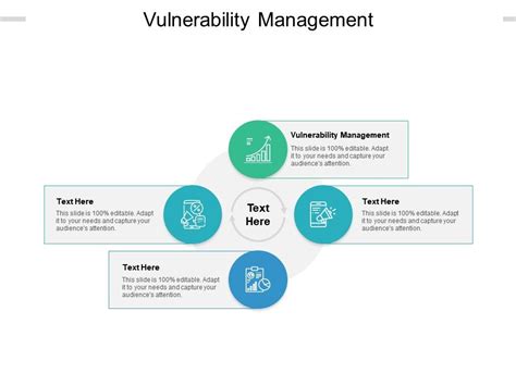 Vulnerability Management Ppt Powerpoint Presentation Inspiration Infographics Cpb Presentation