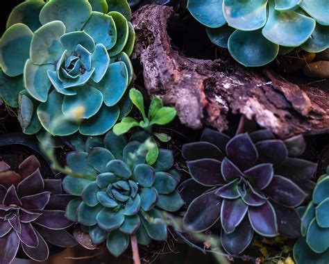 Navigating Difficult Conversations