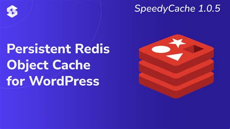 SpeedyCache Version 1 0 5 Launched Object Cache SpeedyCache