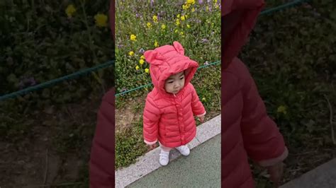 Vlog벚꽃 보러 왔어요~~아빠랑 산책 나들이유채꽃분홍이 Youtube