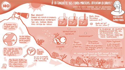 Mathilde Godefroid Ma Thèse En 180 Secondes