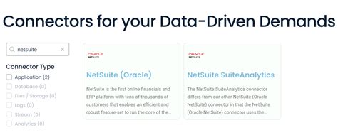 Netsuite Data Management