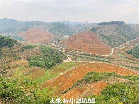 农发行镇远县支行学史力行，发放5000万元产业扶贫贷款助力乡村振兴田园