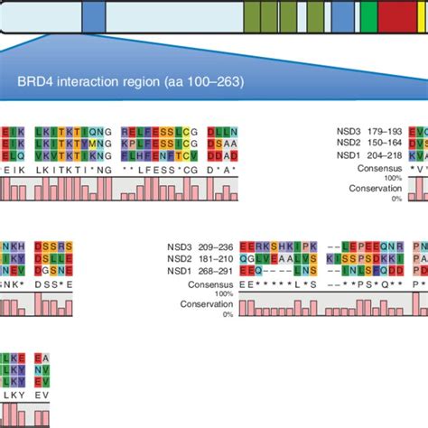 Sequence Alignment Of The Region Of Nuclear Receptor Binding Set Domain