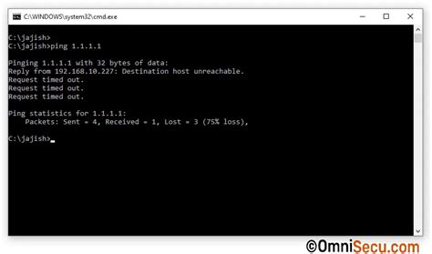 Ping Command Tool