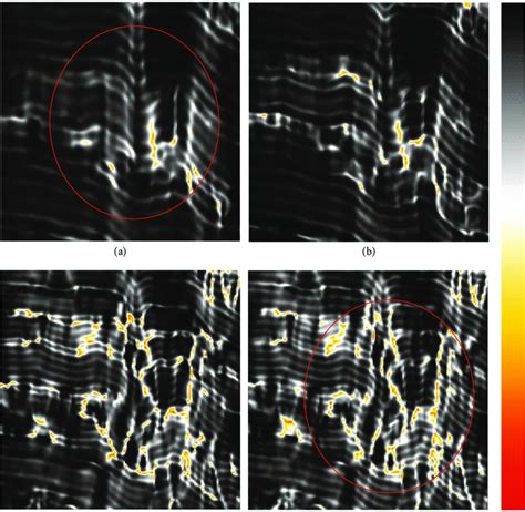 The Frequency Division Coherence Attribute Profile Of The Survey