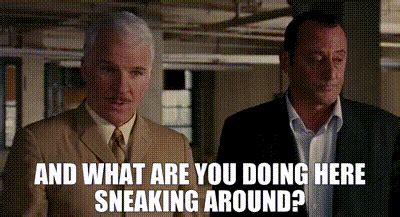 Pink Panther Sneaking 