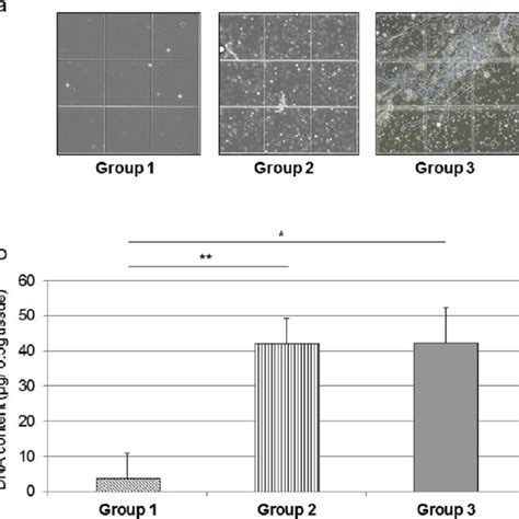 Evaluation Of The Filter Processing Effect On Cell Containing Fluids Download Scientific